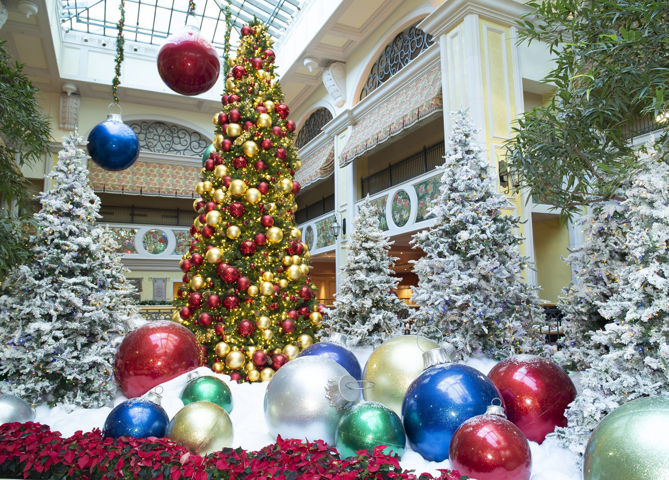 Escape to the South's Premier Holiday Destination - Coast Observer Magazine
